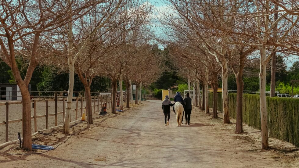 2025 Equestrian Real Estate Trends - Thoroughbred Real Estate Group